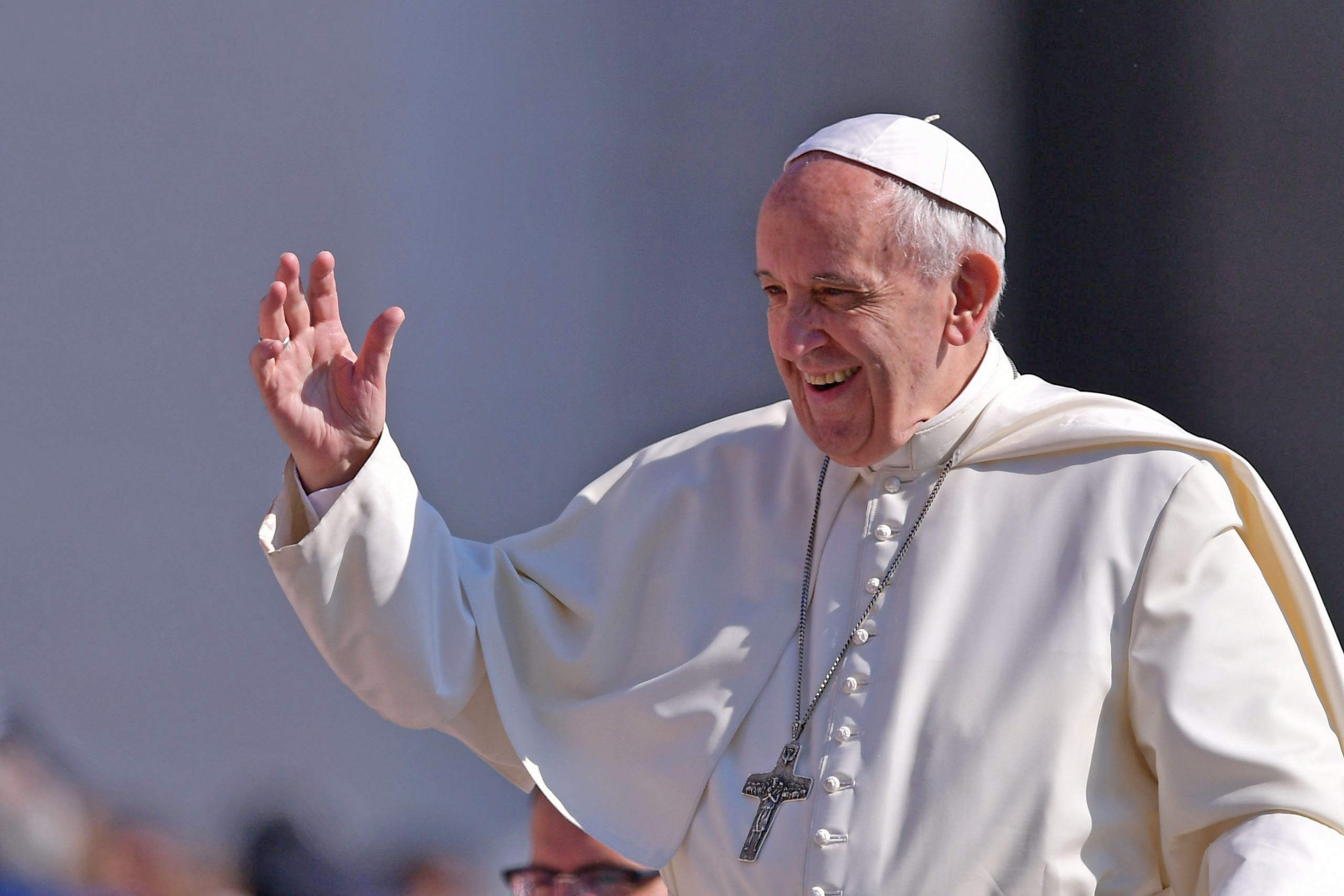 Grazie, Francesco | Lipu ODV